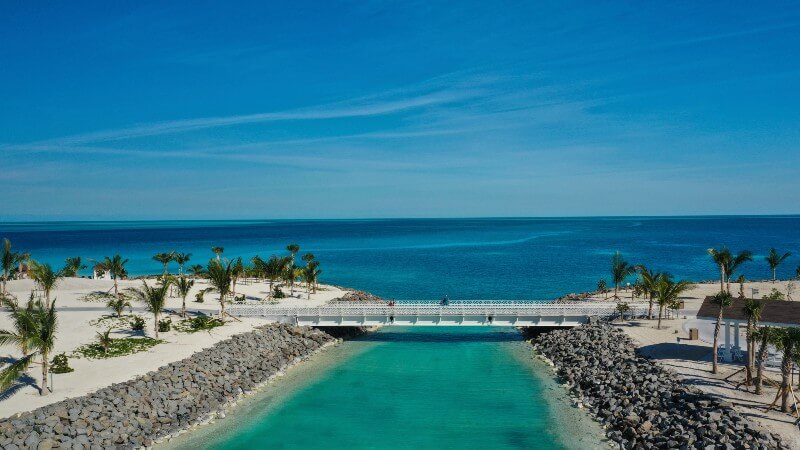 ¡Descubre los 26 secretos imprescindibles antes de tu visita a Ocean ...